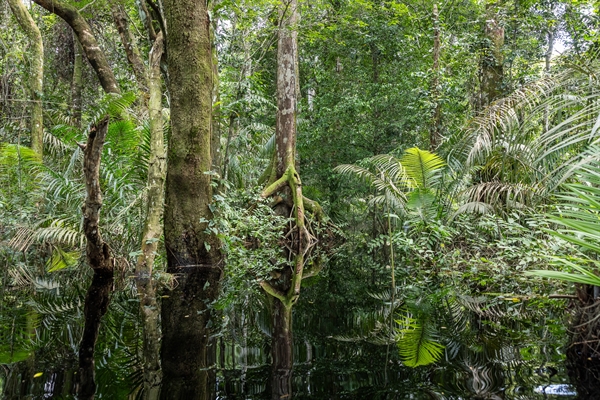The effects of climate change are weakening the ecosystem of the Lac ...